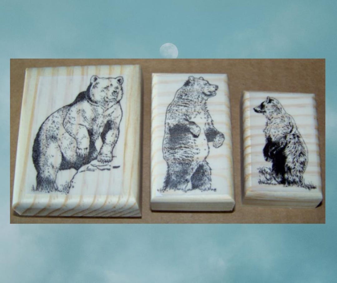 Bear Rubber Stamps: Grizzly, Black Bear Art Stamp - Set of 3 - Etsy