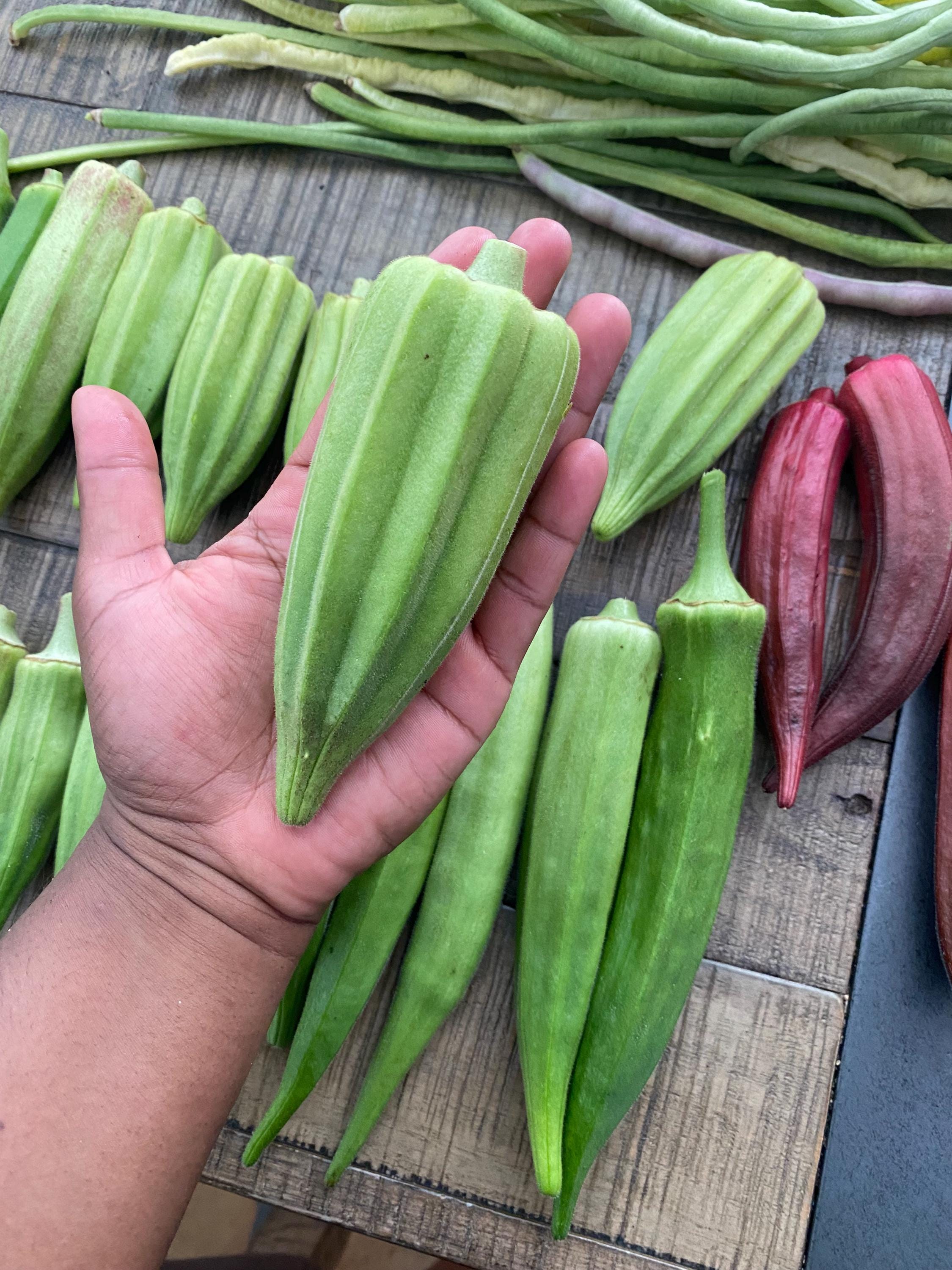 Okra Variety Pack Seeds 30 Count - Etsy