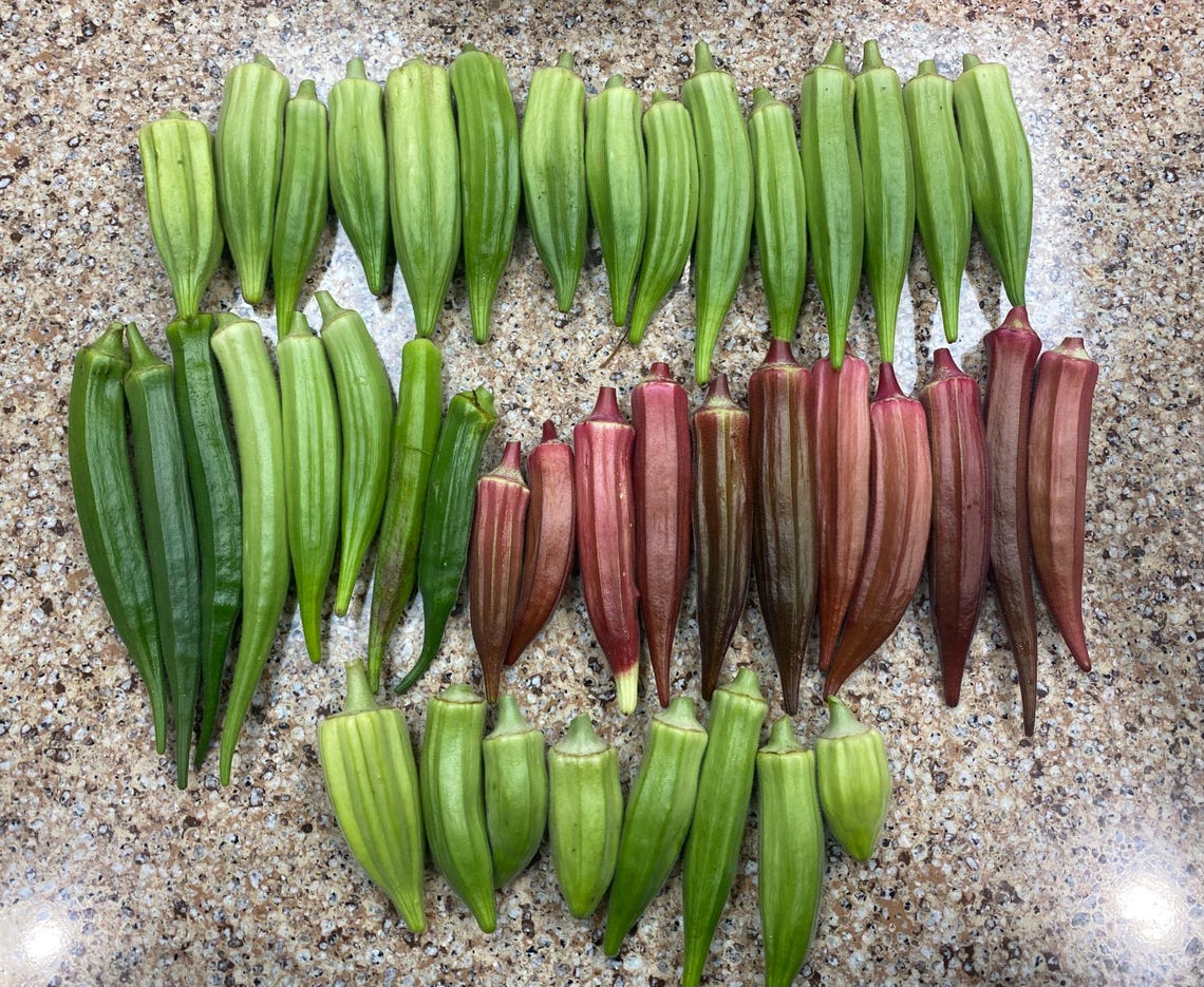 Okra Variety Pack Seeds 40 Count Free Gift Included - Etsy