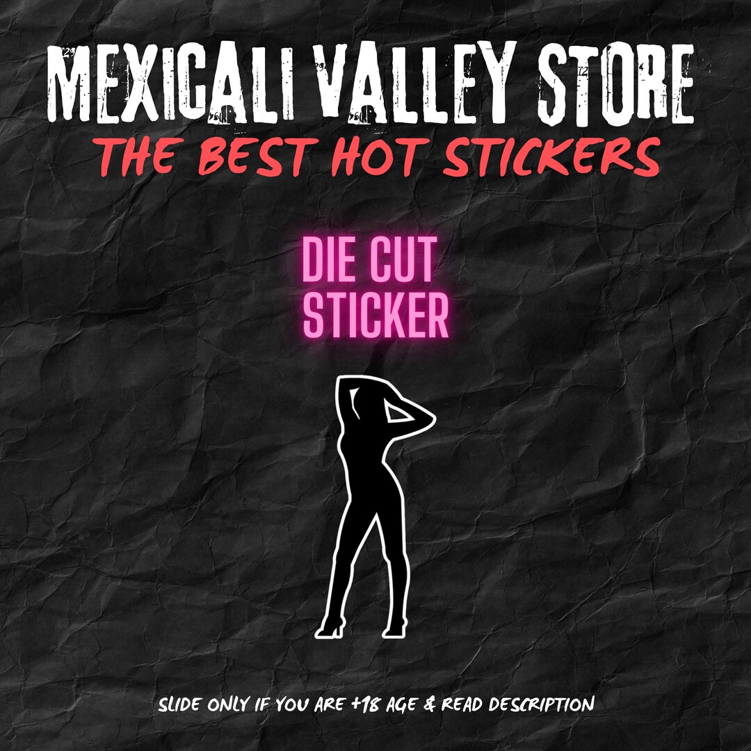 SNK Hot Stickers 18 Premium Vinyl NSWF Water Resistant Mature - Etsy