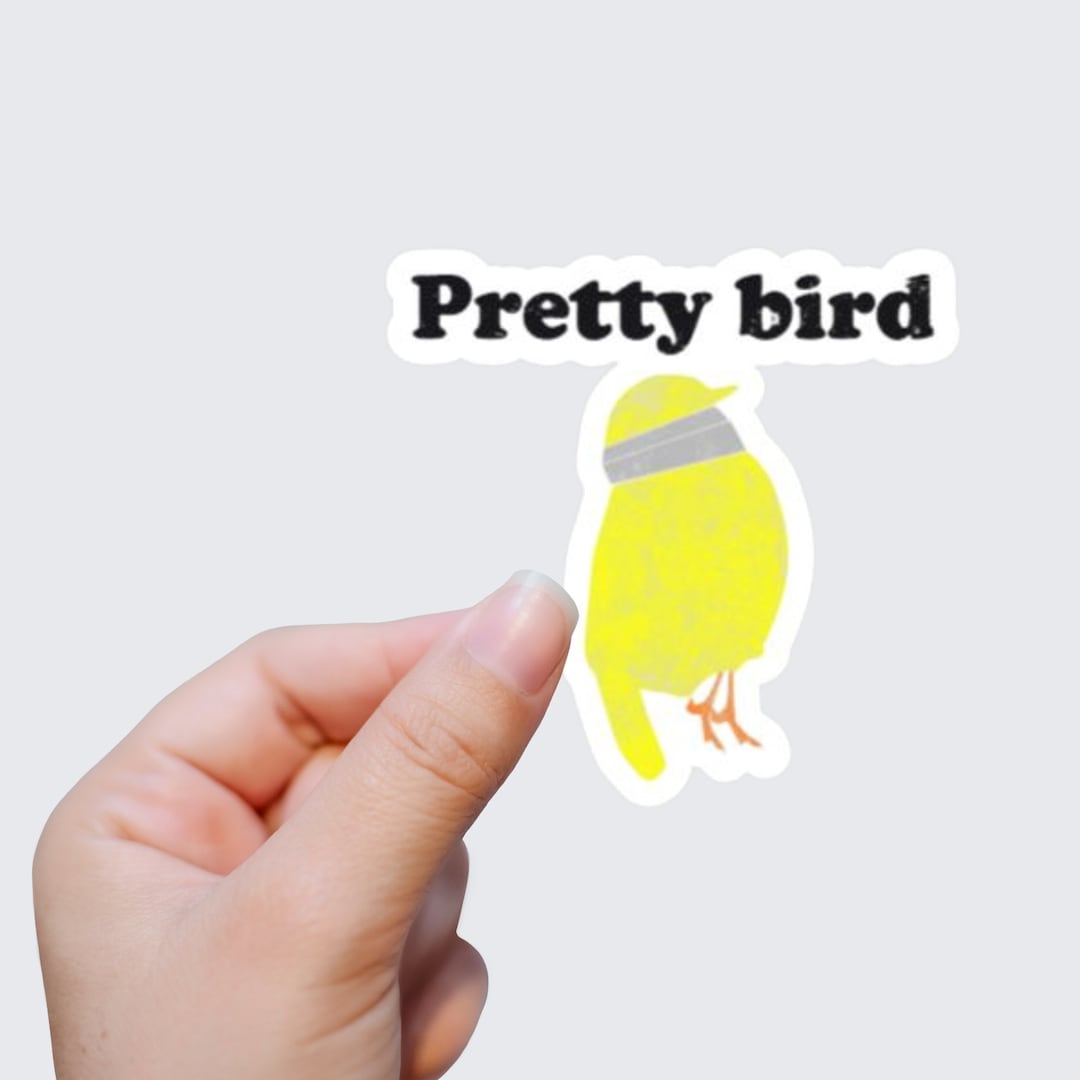 Pretty Bird Dumb and Dumber Die Cut Sticker Laptop Stickers Bird ...