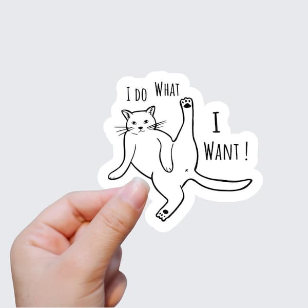 I Do What I Want - Etsy