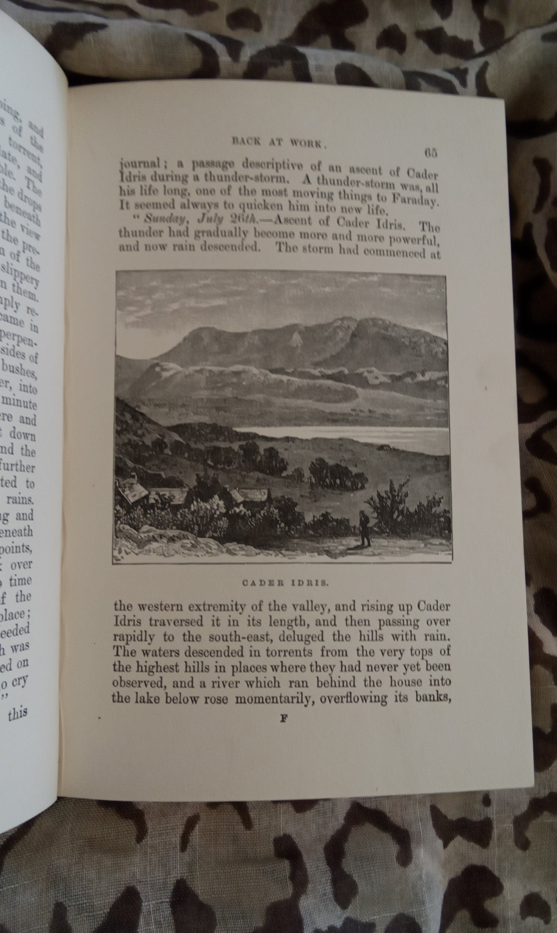 Antiquarian Book 1896. Michael Faraday A Man of Science by - Etsy