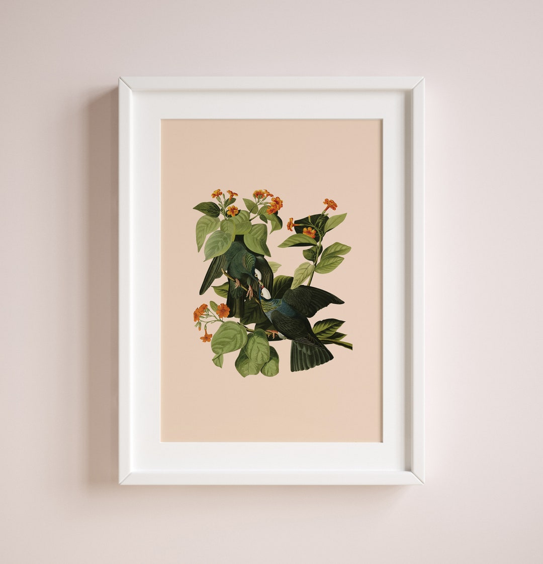 White Crowned Pigeon Vintage Eco Poster | Retro Botanical Digital Print ...