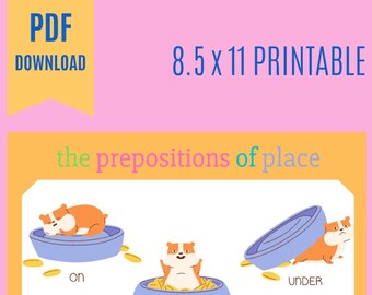 Montessori Parts of Speech - Etsy