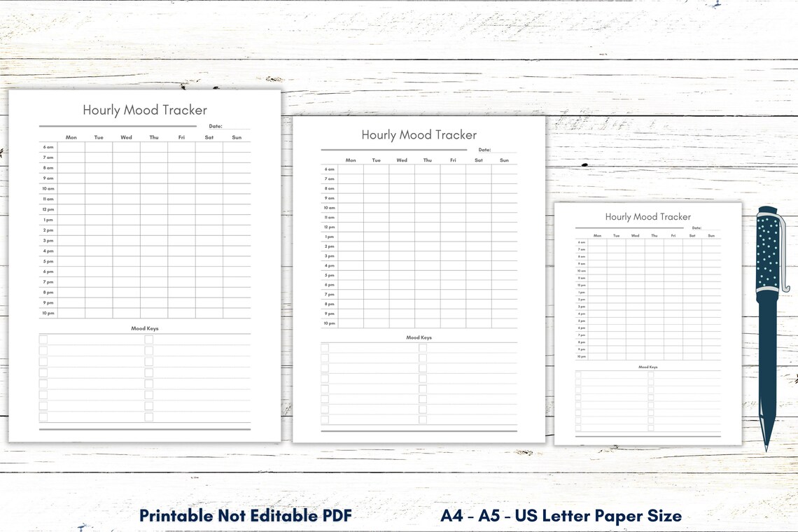 Hourly Mood Tracker Printable Template, Mood Tracker Journal, Mood ...