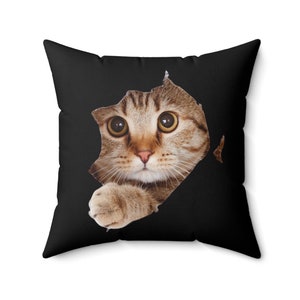 Cute Cat Pillow - Funny Cat Pillowcase With Pillow, Cute Couch Pillow ...
