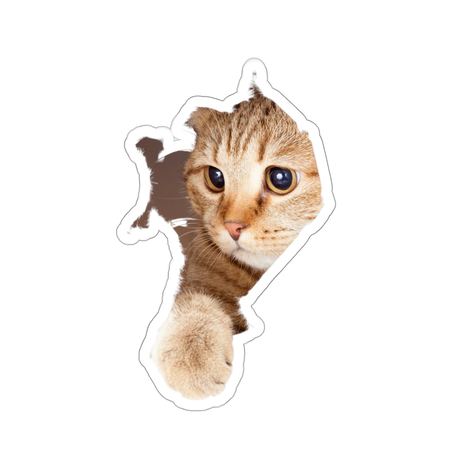 Cute Cat Sticker - Funny Cat Sticker, Meme Cat Sticker, Cat Lover ...