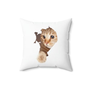 Cute Cat Pillow - Funny Cat Pillowcase With Pillow, Cute Couch Pillow ...