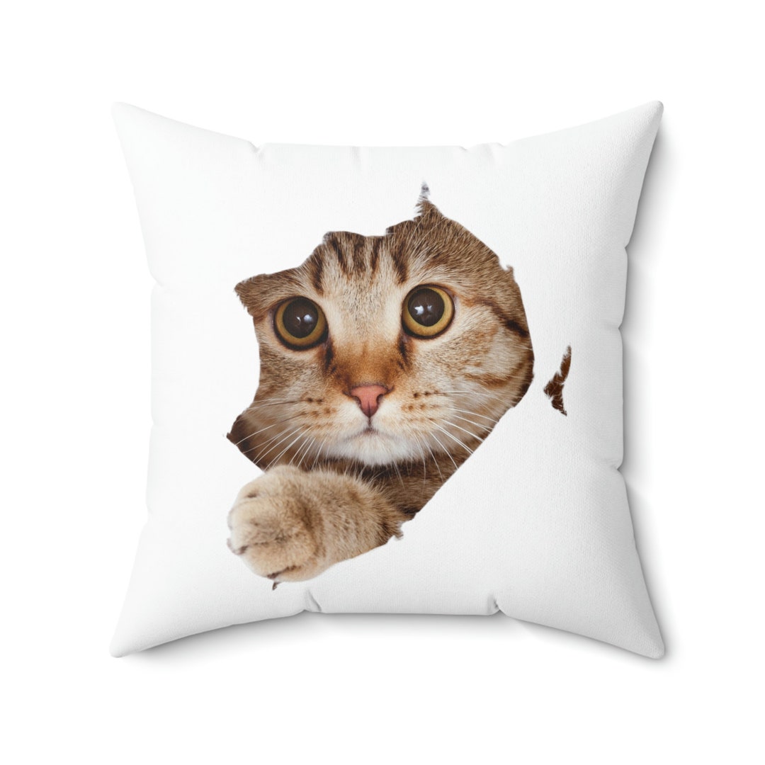 Cute Cat Pillow Funny Cat Pillowcase With Pillow, Cute Couch Pillow for ...