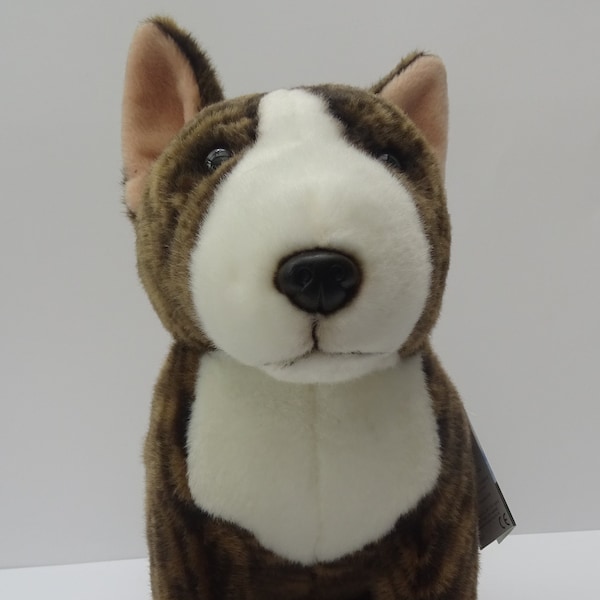 English Bull Terrier - Etsy