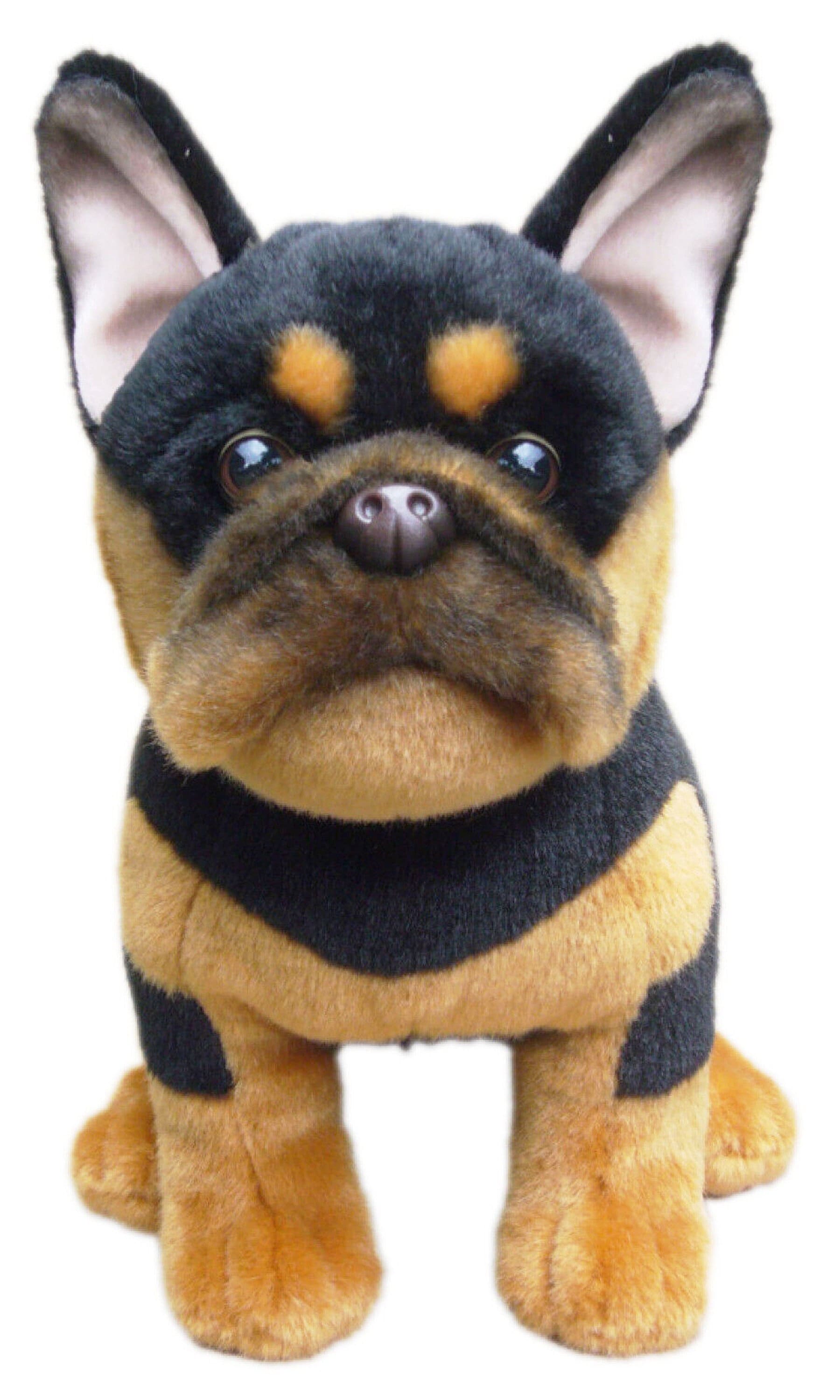 French Bulldog Black And Tan