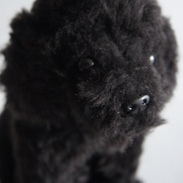 Black Poodle - Etsy