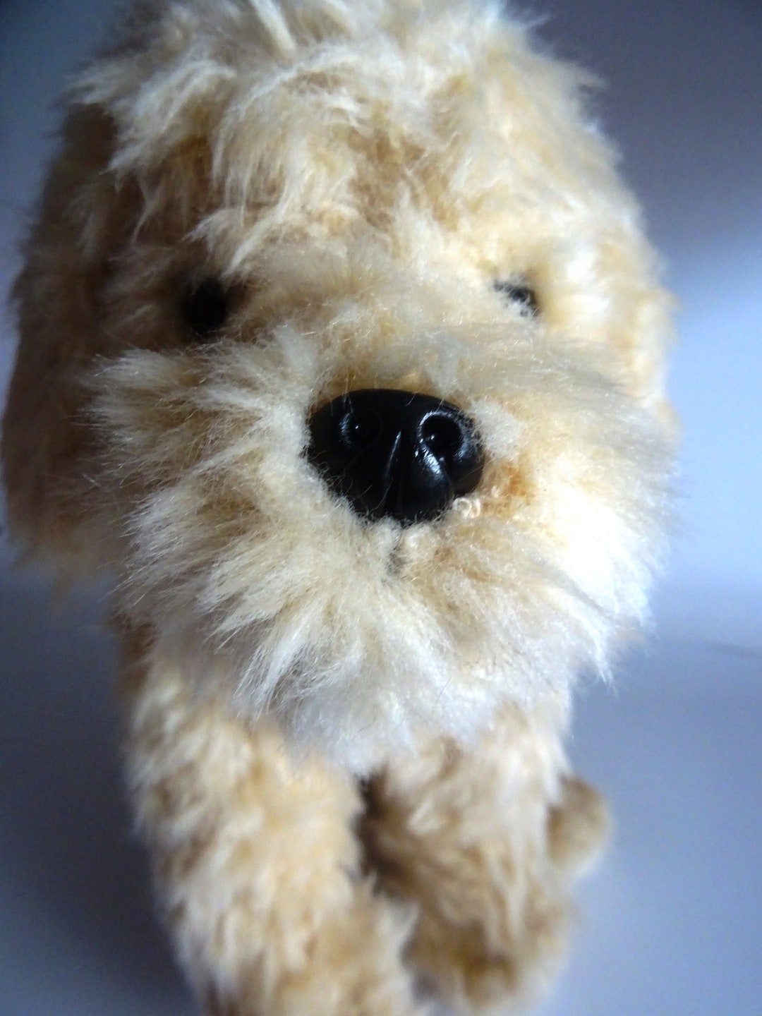 Hand Made Golden Cream Cockapoo Realistic Plush Toy Dog Can - Etsy