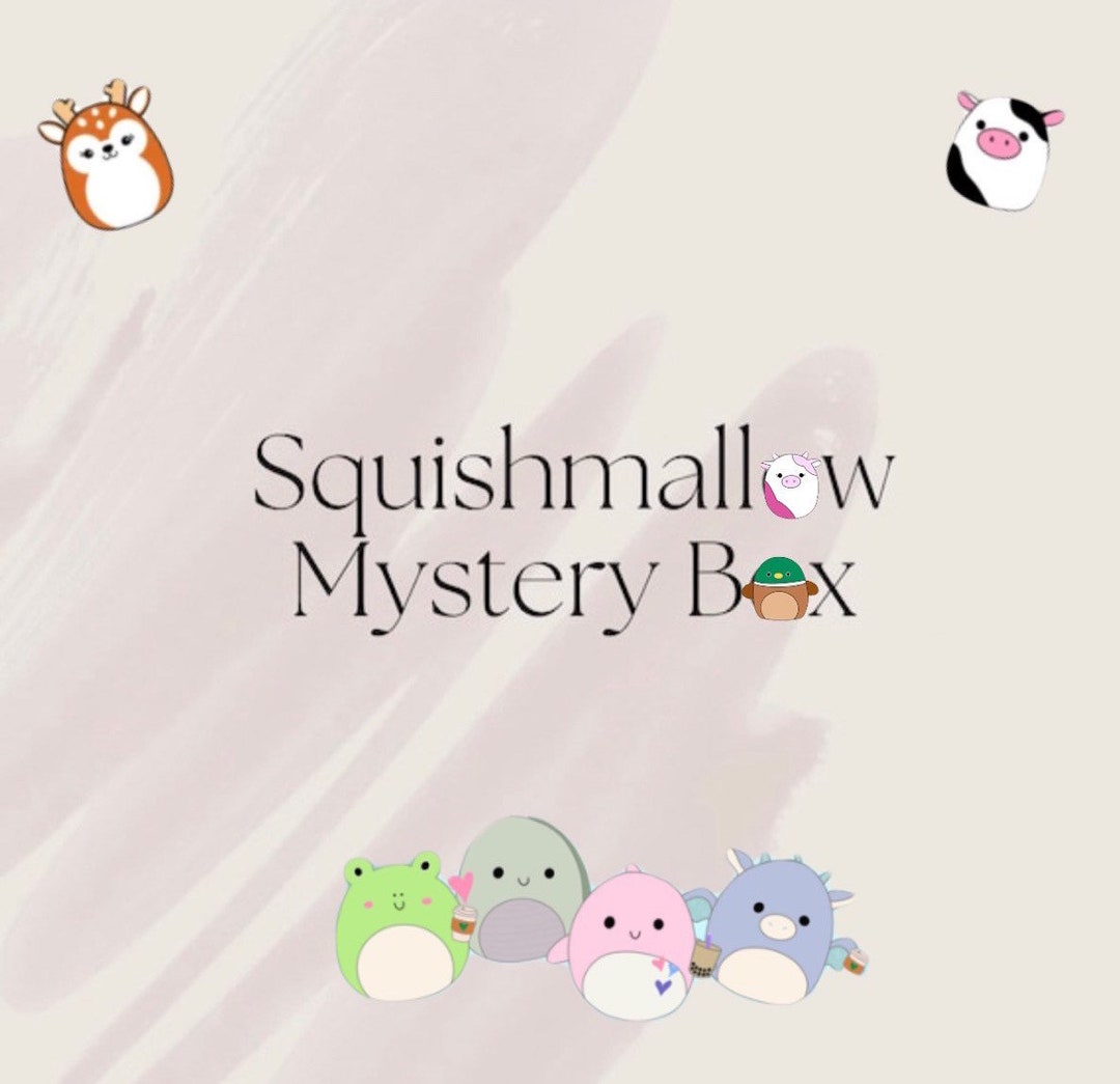 Squishmallow Mystery Box - Etsy