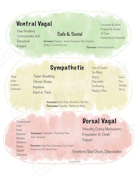 Polyvagal Nervous System States Reference Sheet Soft - Etsy Canada