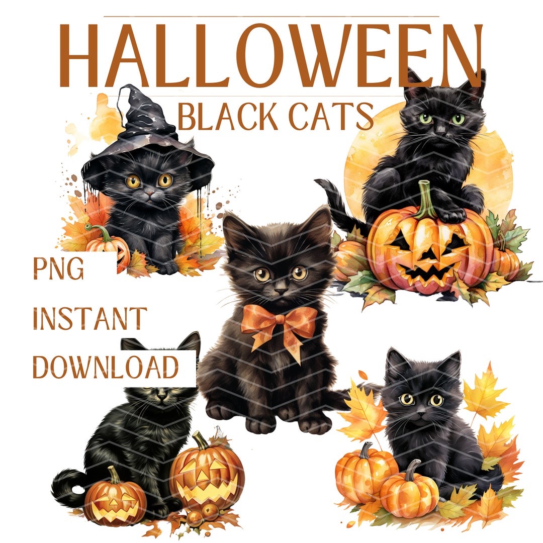 Vintage Black Cat Halloween Clipart PNG Bundle, Cute Kitten & Pumpkins ...