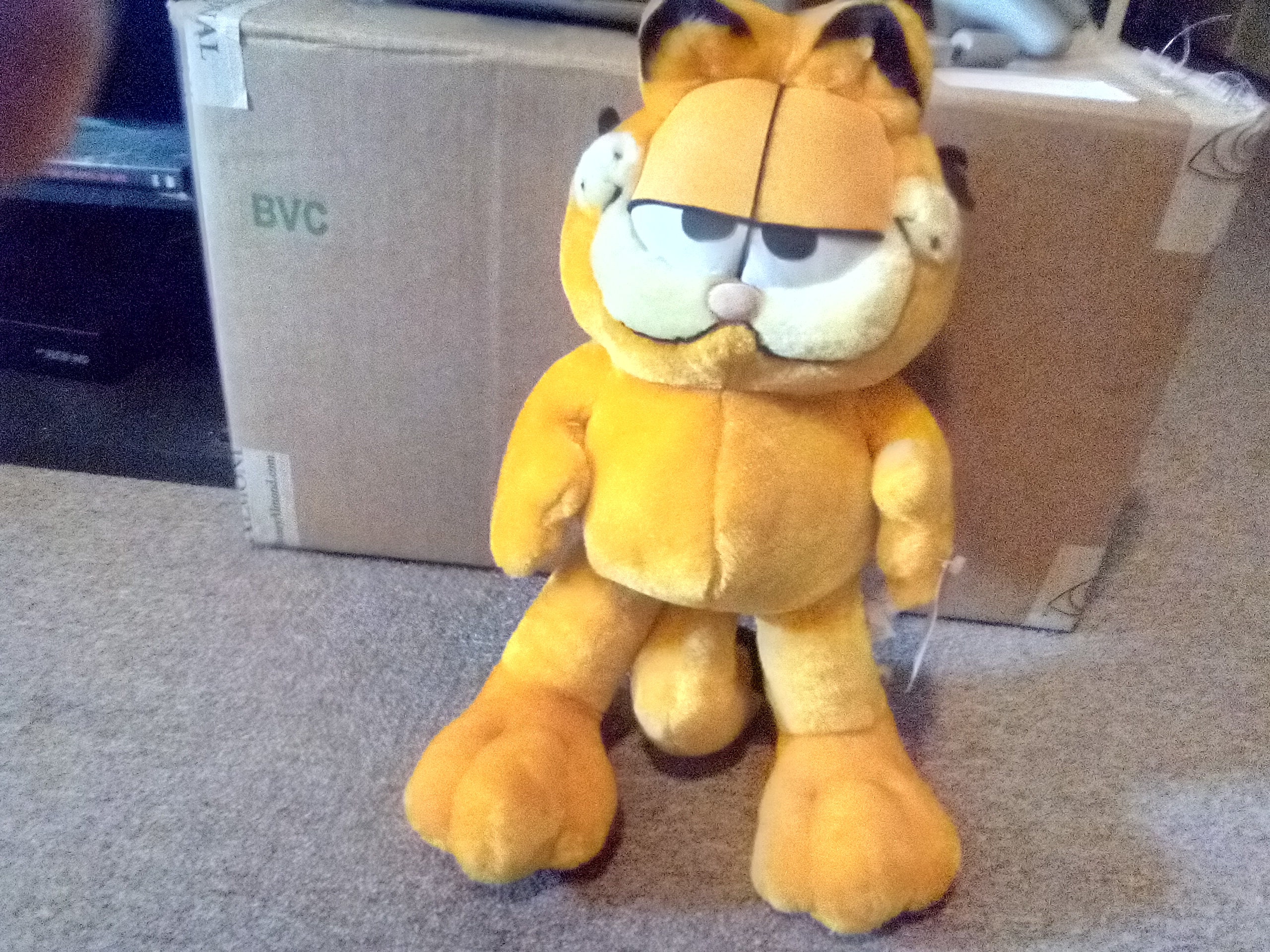Alvin and the Chipmonks, Flex the Cat, Garfield and the Pink Panter ...