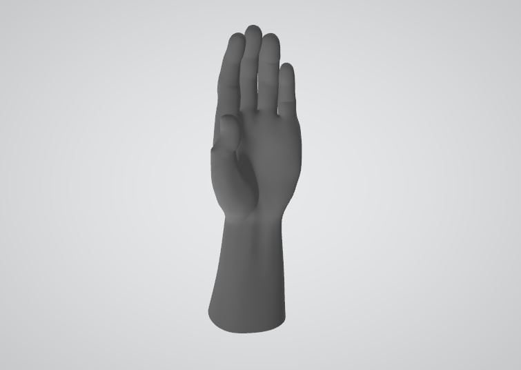 Human Body Parts Set Stl Files , Ear , Brain , Foot , Hand - Etsy