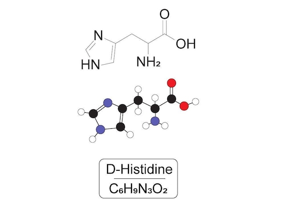 Histidine Molecule Vector Graphic | Etsy