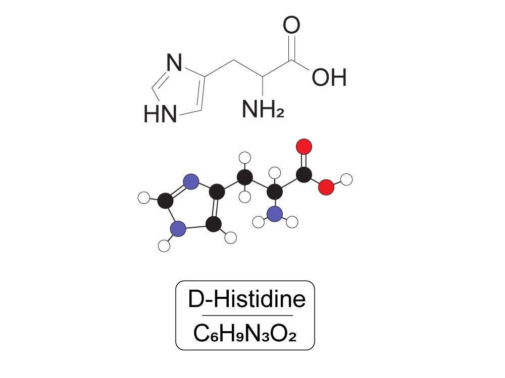 Histidine Molecule Vector Graphic - Etsy