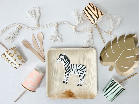 Party Animal Box - Etsy