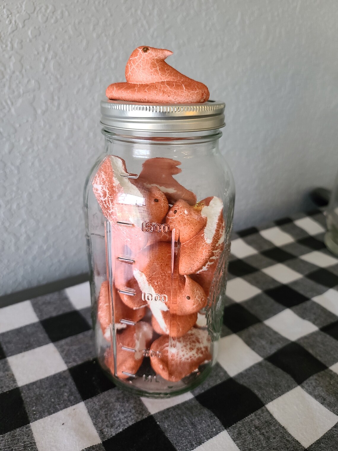 Freeze Dried Various Flavored Peeps, Candy, Gift, Party Favors, Gluten ...