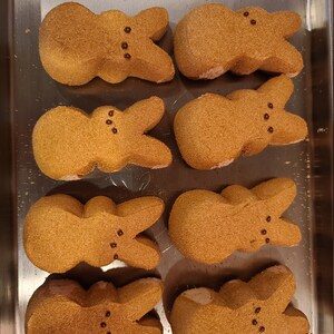 Freeze Dried Various Flavored Peeps Candy Birthday Gift - Etsy