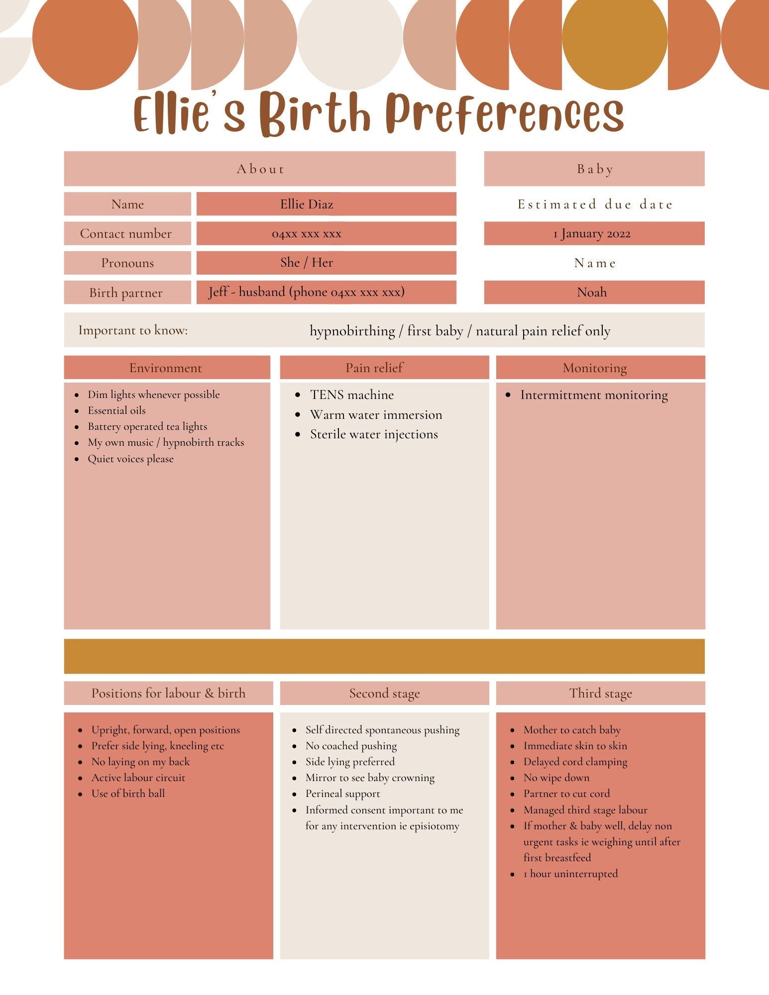 Customisable Birth Plan / Editable Birth Template - Etsy