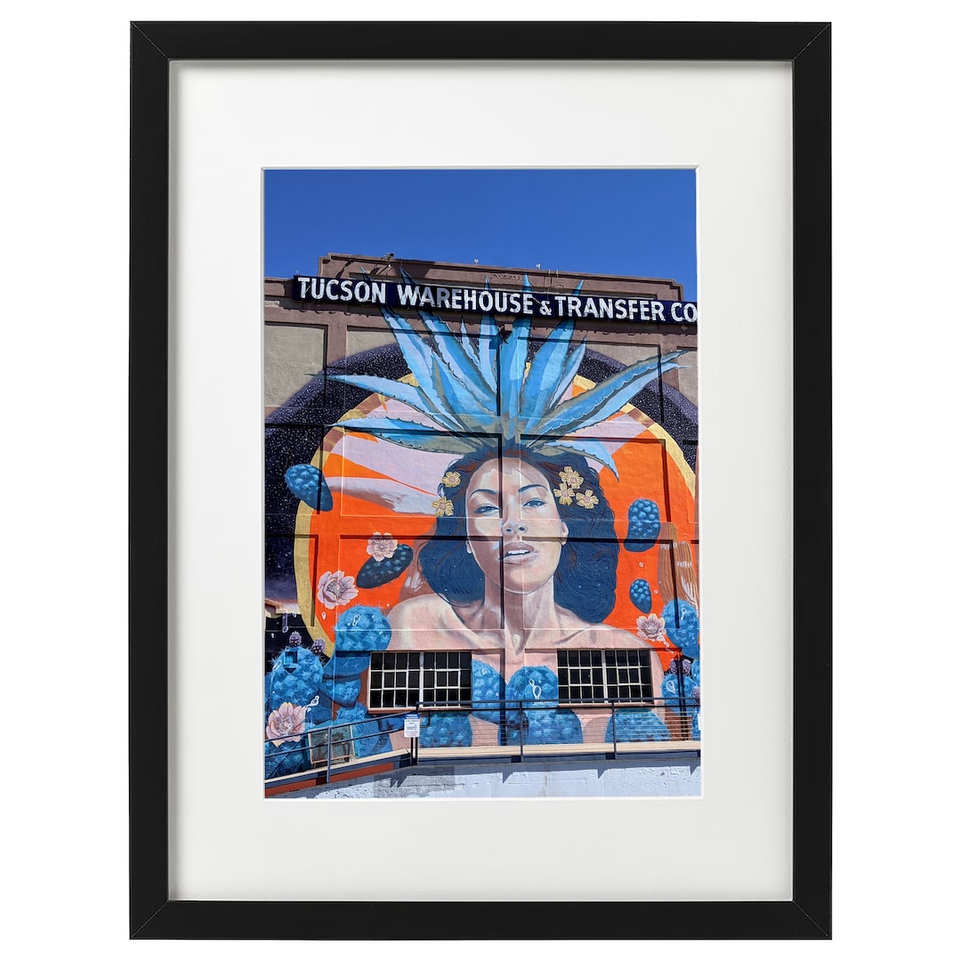 Tucson, Arizona - Desert Mural Color Wall Art Framed Photograph - Etsy