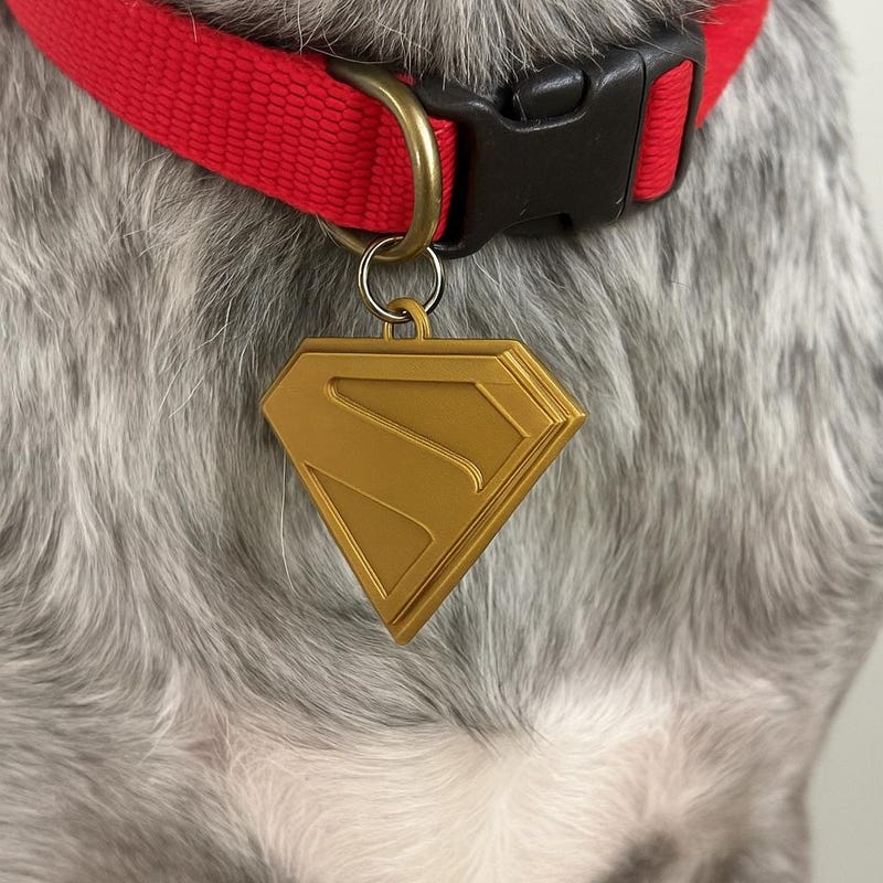 Dog Name Tag Nerdy - Etsy