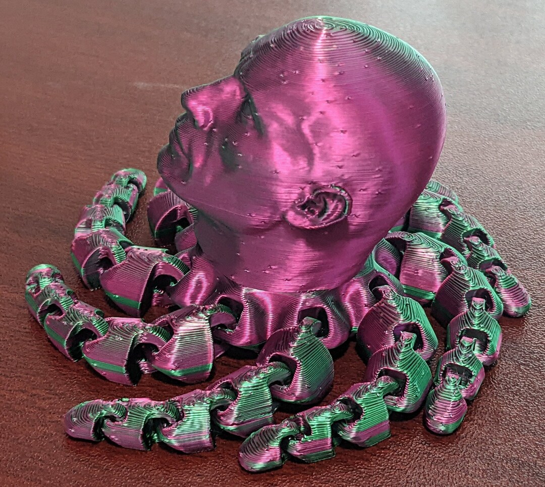 Rock Slug/octopus Raw 3D Printed Articulated Toy - Etsy