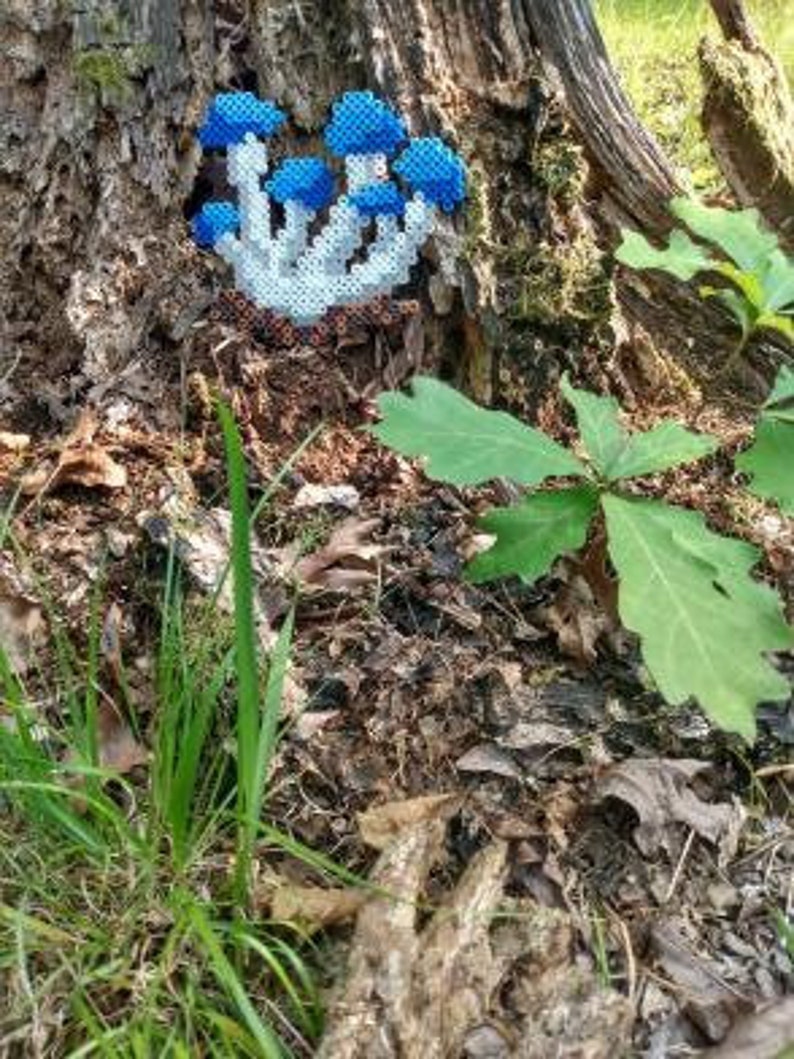 Perler Bead Mushrooms Set (PATTERN) - Etsy
