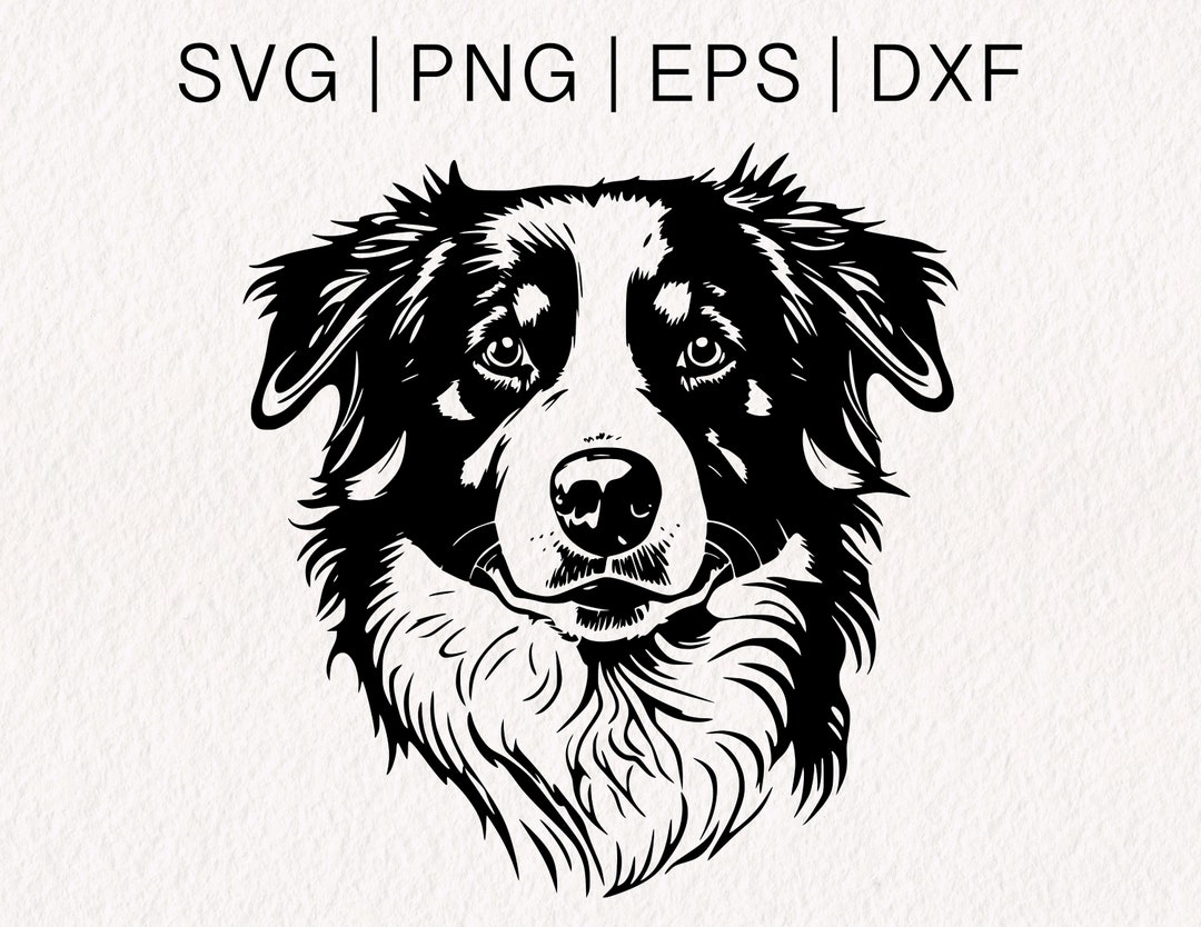 Australian Shepherd SVG Aussie SVG Dog Face Vector Smooth Collie Svg ...