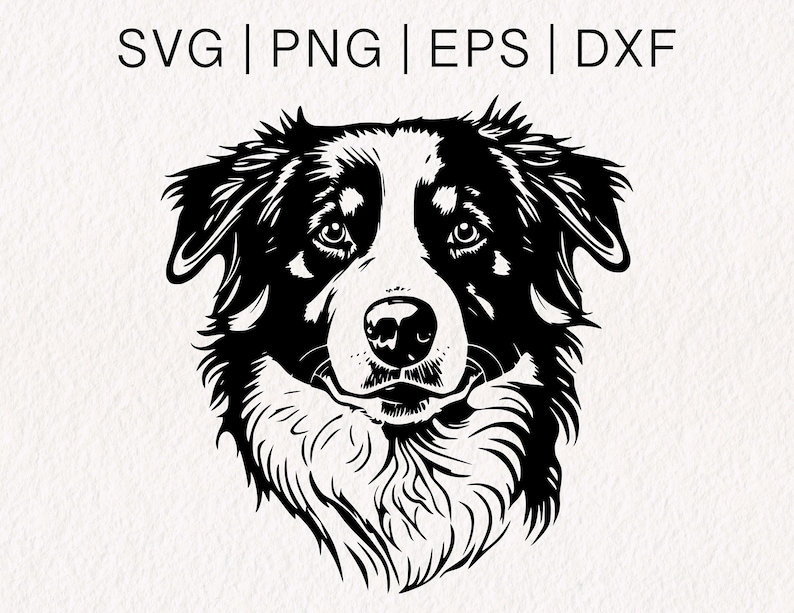 Australian Shepherd SVG | Aussie SVG | Dog Face Vector | Smooth Collie ...
