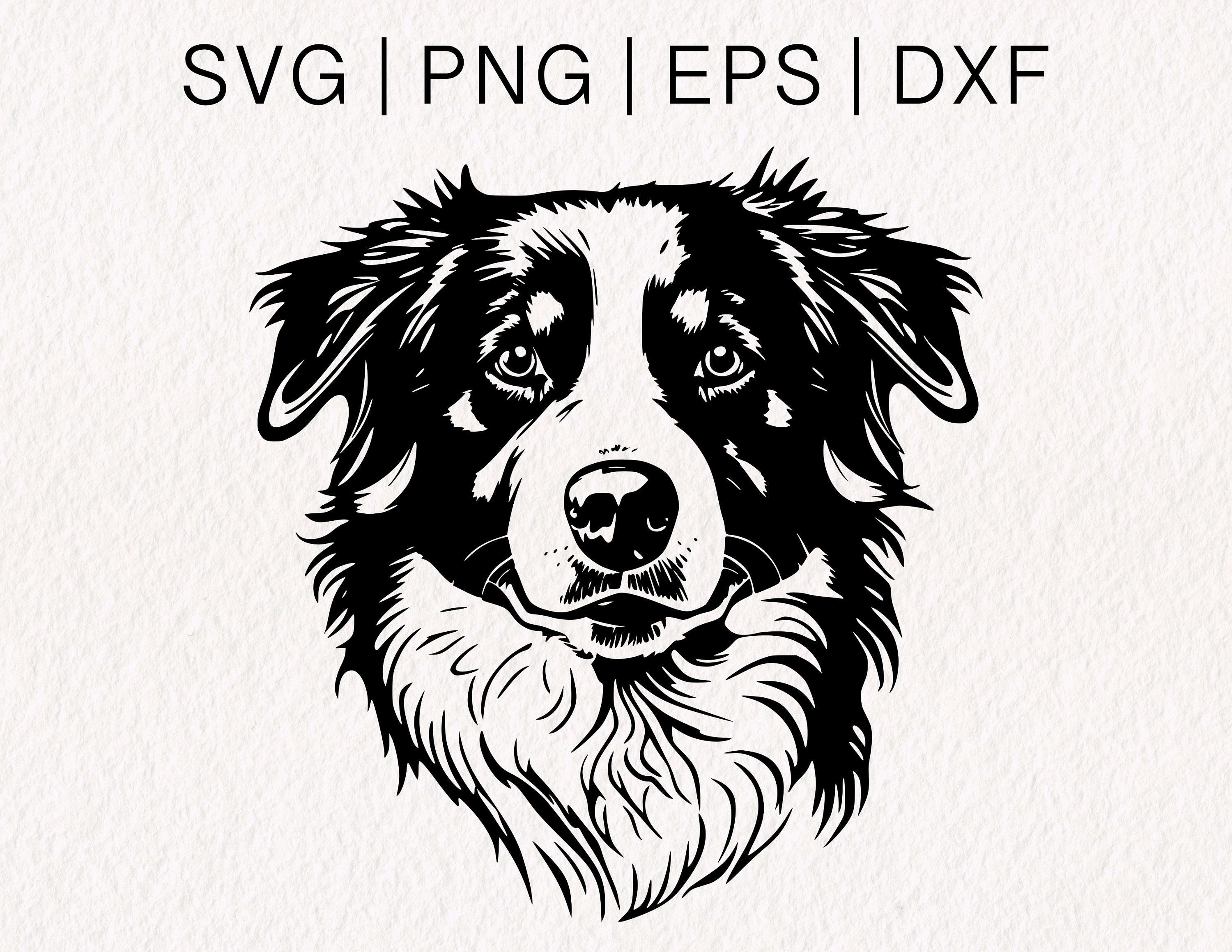 Australian Shepherd SVG | Aussie SVG | Dog Face Vector | Smooth Collie ...