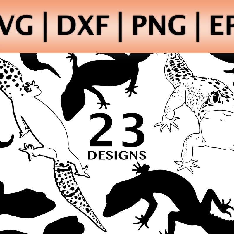 Desert Gecko Plant - Etsy