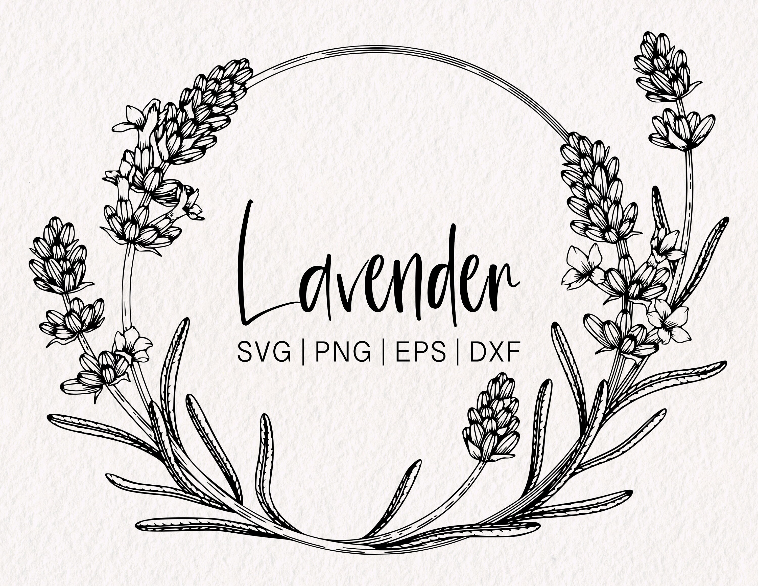 Lavender SVG Frame | Flower Corner Svg | Essential Oil Svg | Herbs Svg ...
