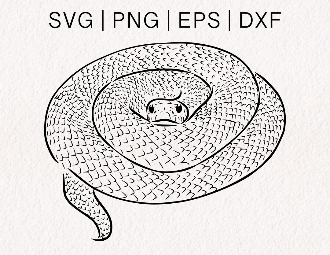 Rattlesnake SVG | Snake SVG | Snake Skin Svg | Reptile Svg | Viper Svg ...