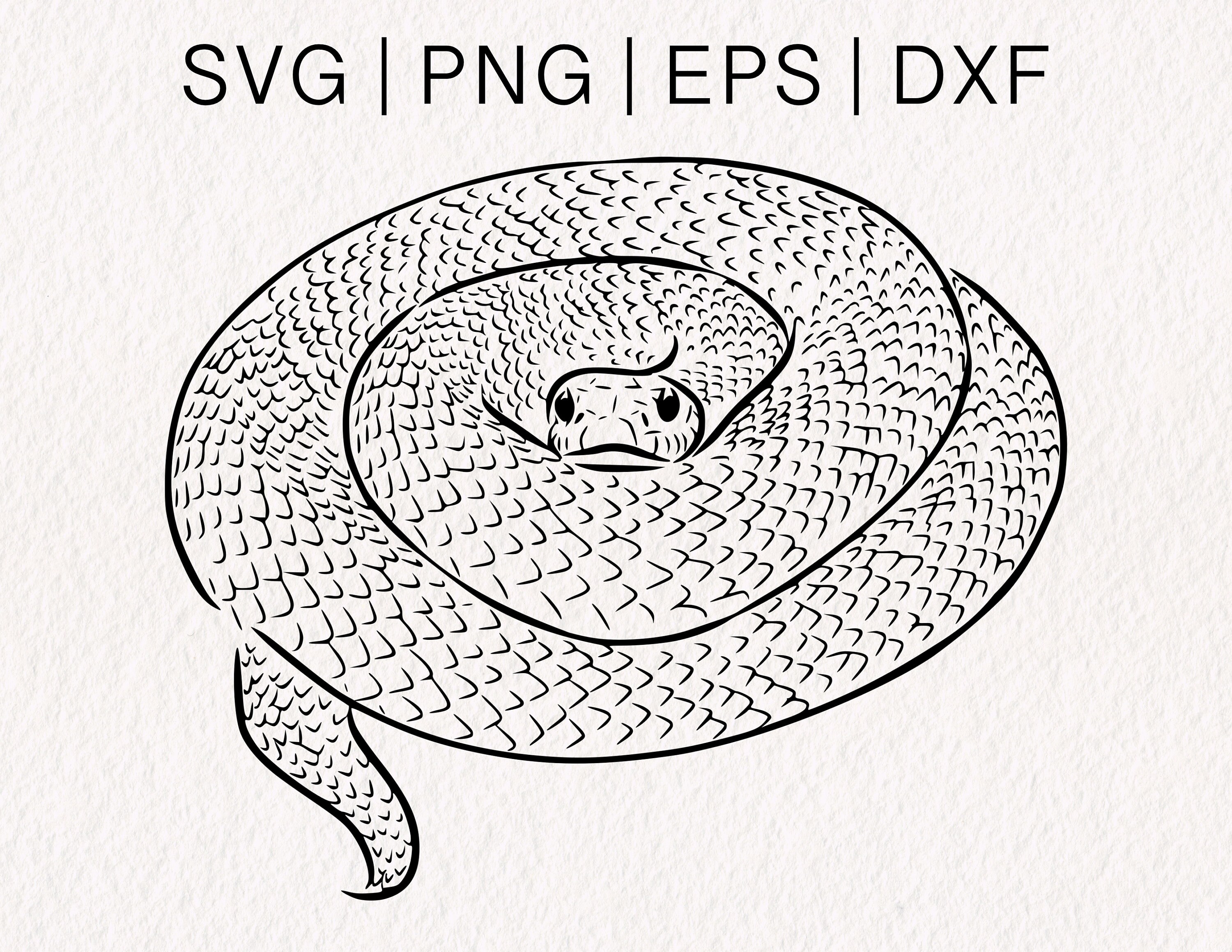 Rattlesnake SVG | Snake SVG | Snake Skin Svg | Reptile Svg | Viper Svg ...