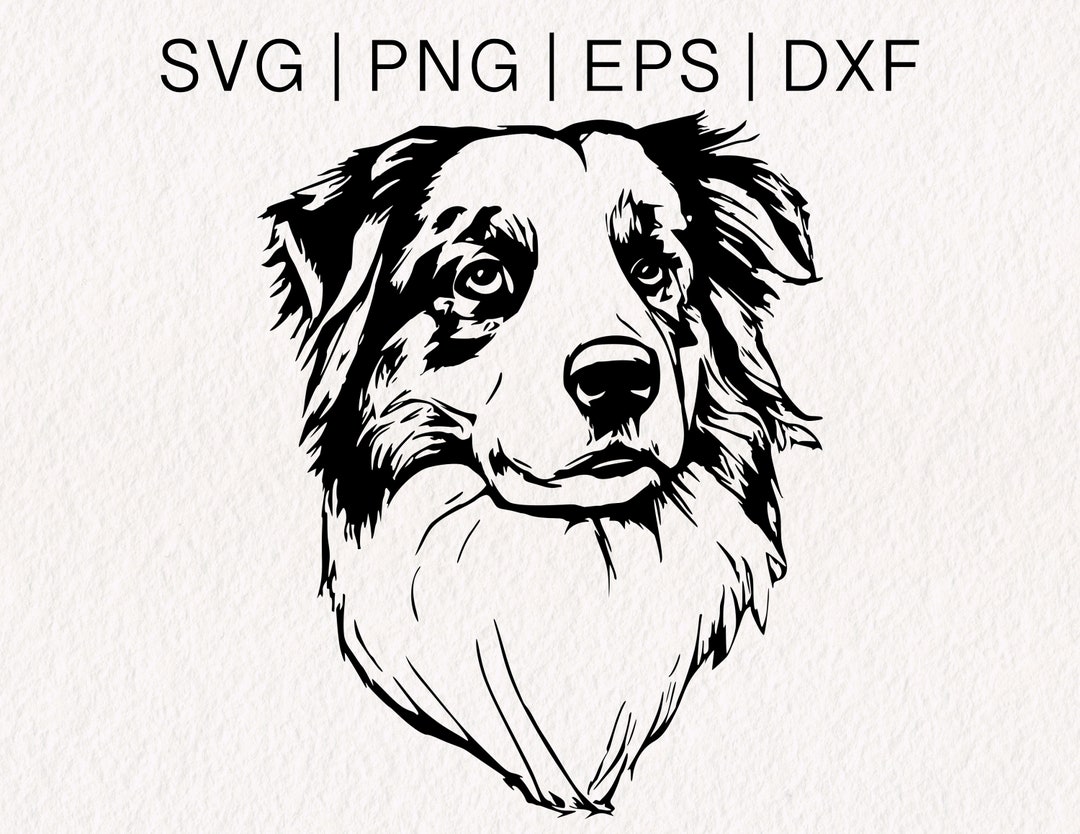 Australian Shepherd SVG | Aussie SVG | Dog Face Vector | Smooth Collie ... Australian Shepherd SVG | Aussie SVG | Dog Face Vector | Smooth Collie ...