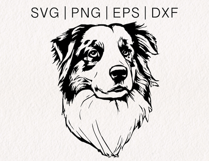 Australian Shepherd SVG Aussie SVG Dog Face Vector Smooth Collie Svg ...