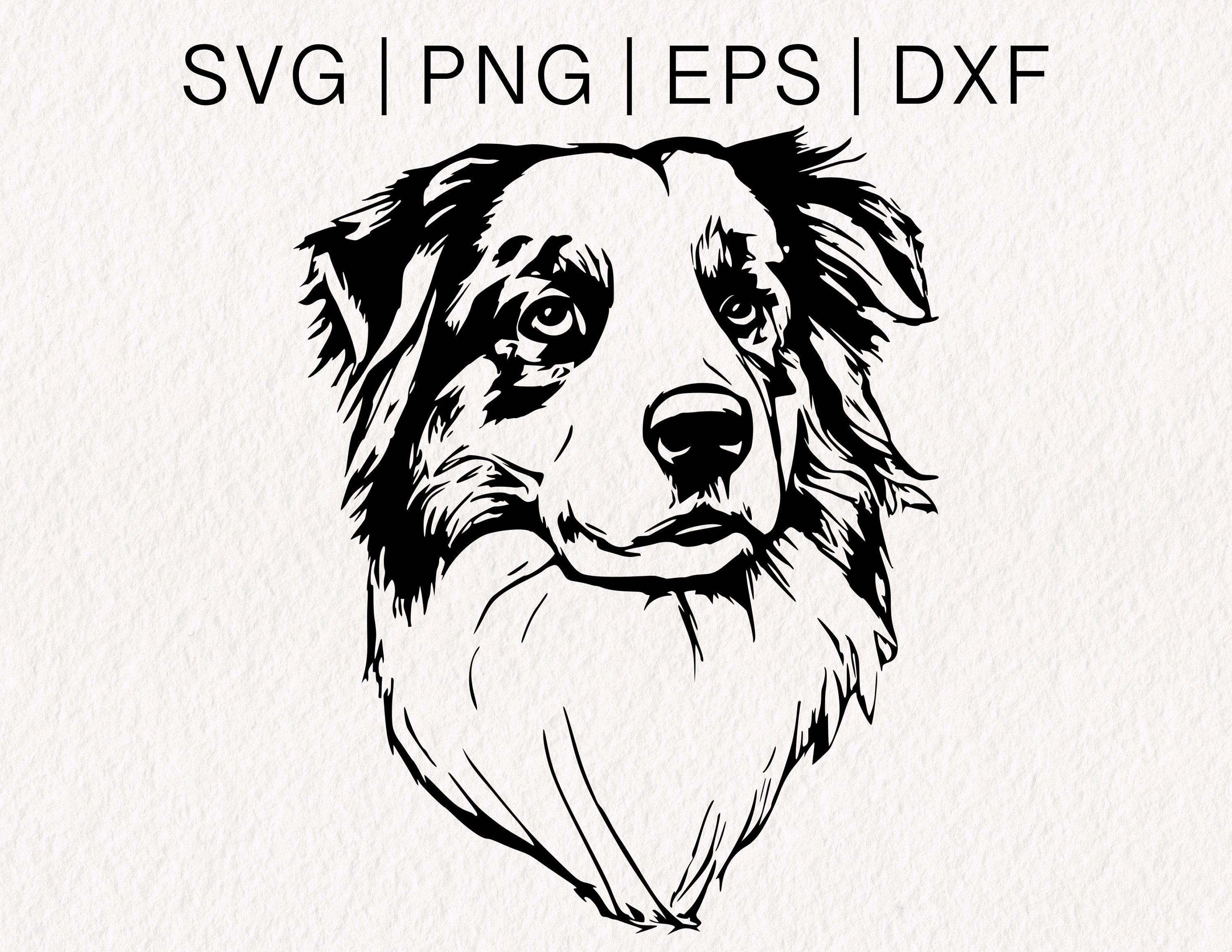 Australian Shepherd SVG Aussie SVG Dog Face Vector Smooth Collie Svg ...
