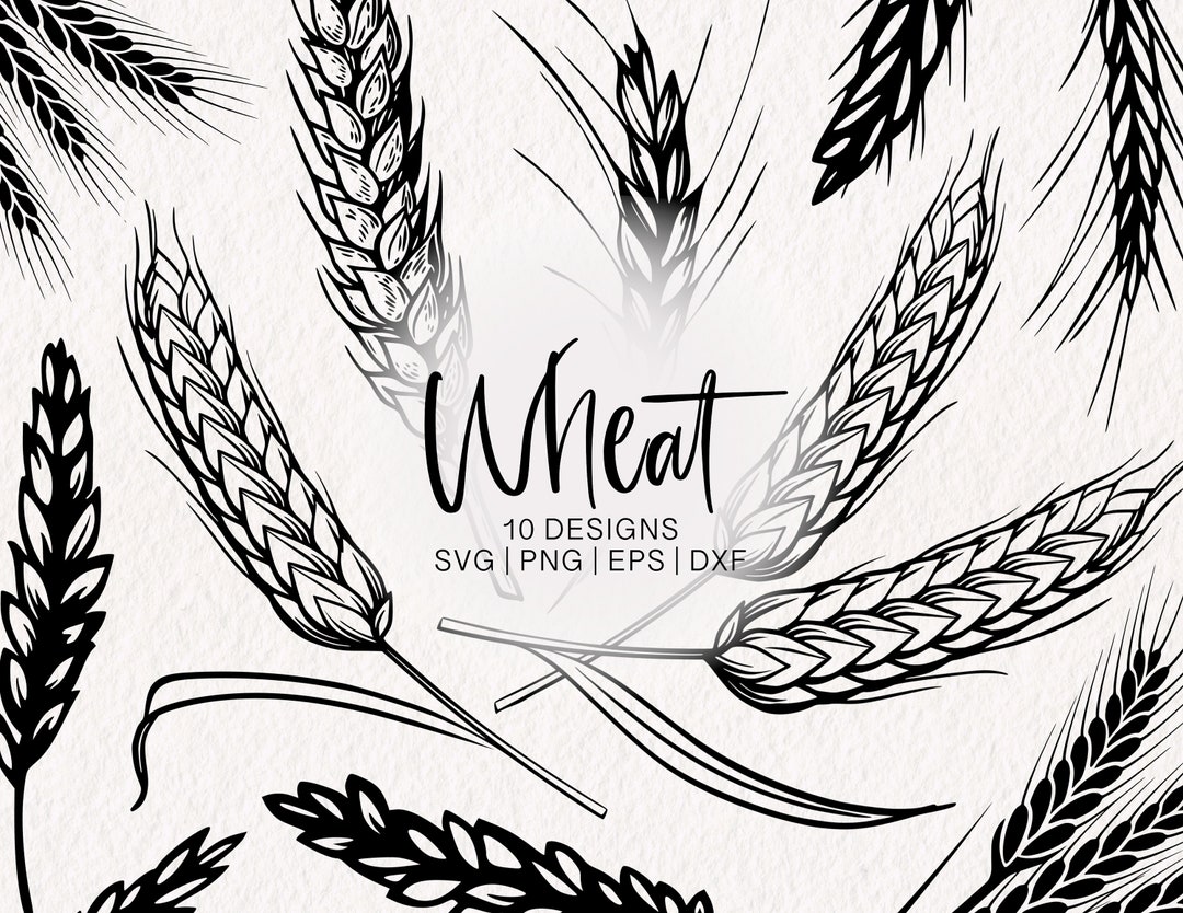 Wheat SVG Bundle | Cereal Svg | Harvest Wheat Png | Farming Svg | Corn ...
