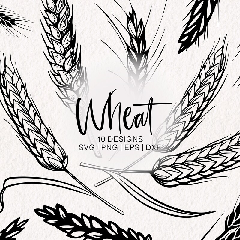 Wheat Svg - Etsy