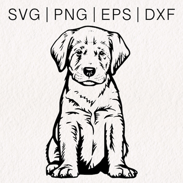 Bernedoodle Svg Outline - Etsy