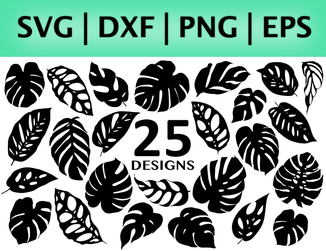 Monstera Leaf SVG Bundle (25 Designs) | Monstera Shirt Svg | Monstera ...