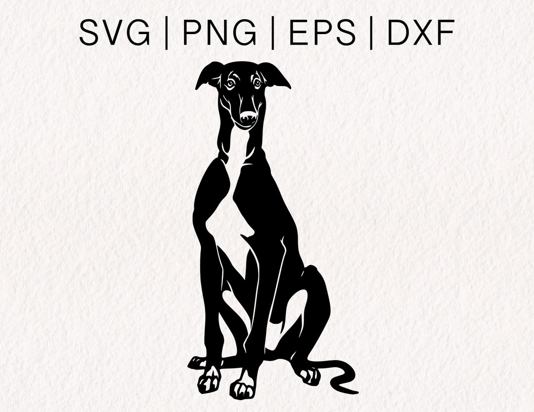 Greyhound SVG | Dog Face Vector | Italian Greyhound | Dog Outline Svg ...