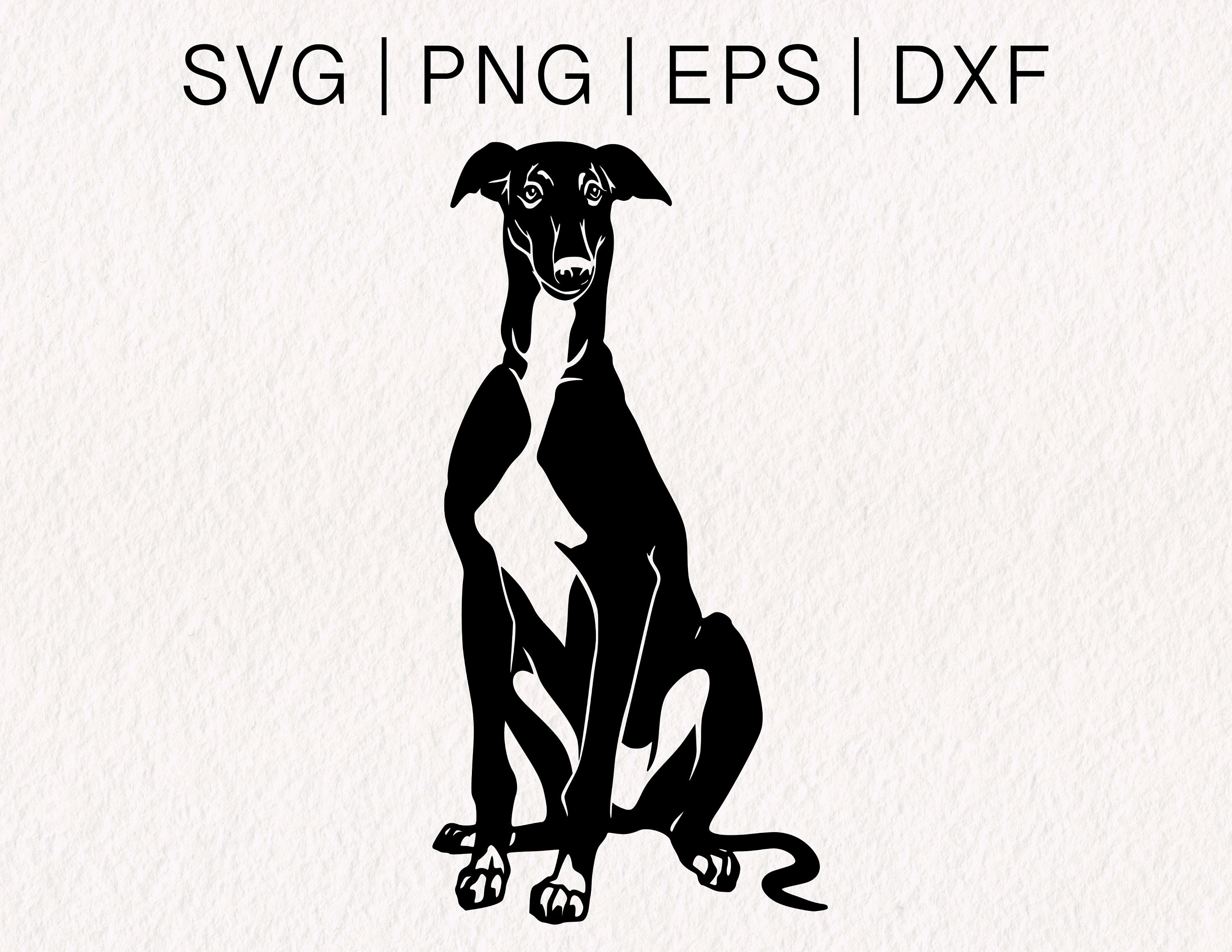 Greyhound SVG Dog Face Vector Italian Greyhound Dog Outline Svg Svg Png ...