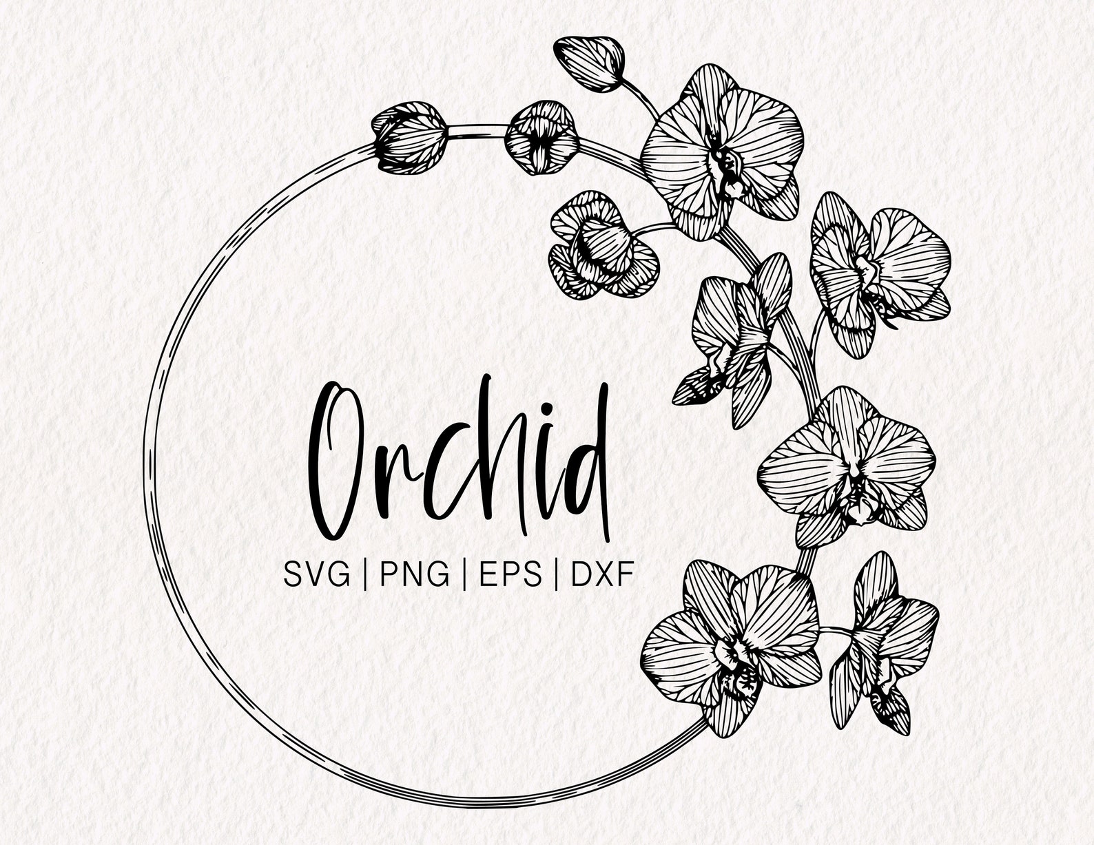 Orchid Vector Frame | Orchid SVG | Floral Outline Svg | Orchid Flower ...